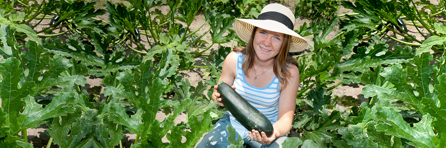 Agroecology Undergraduate Programs – Agroecology Education Major